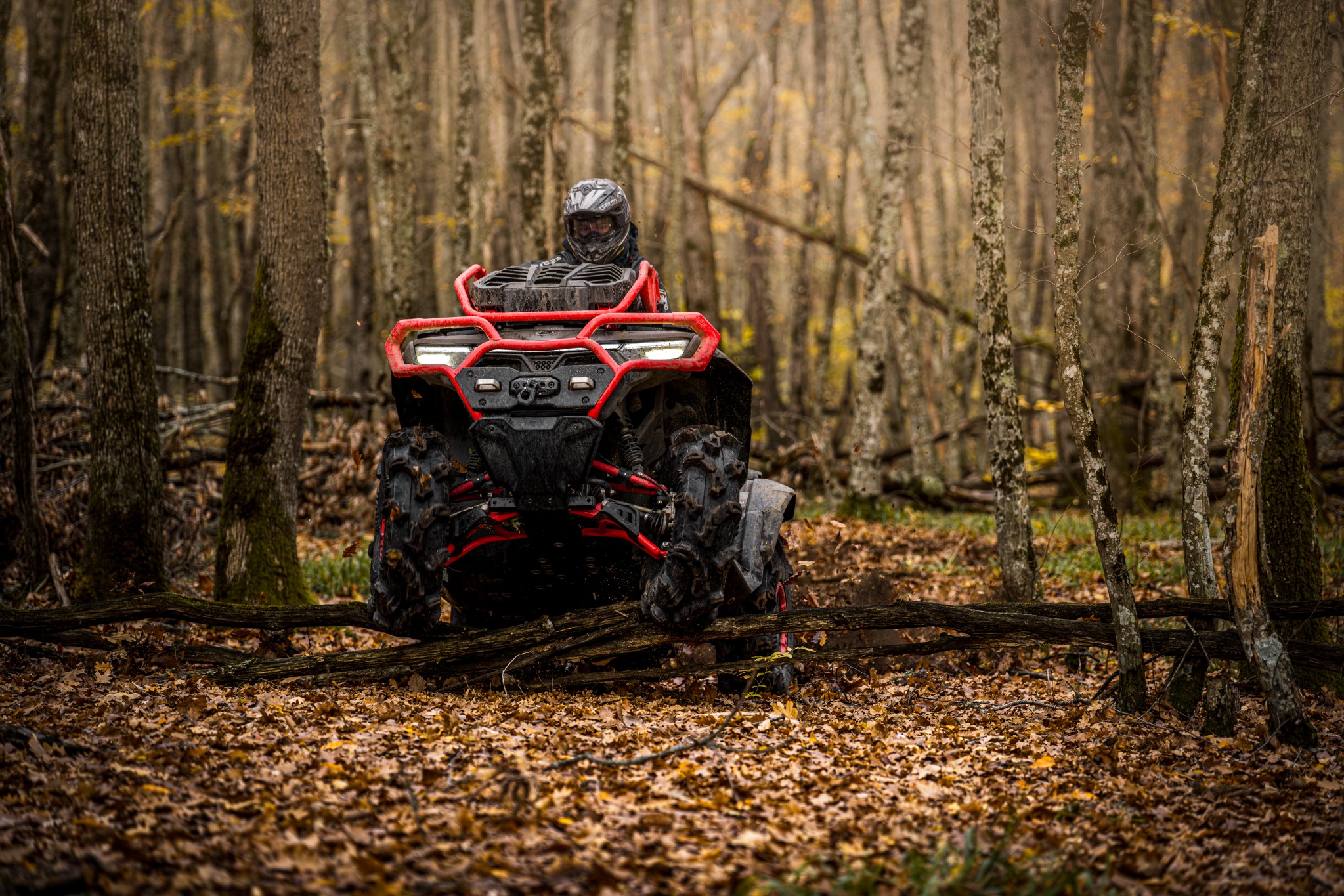 CFORCE 1000 MV